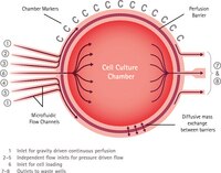 CellASIC® ONIX微流体平台 - CellASIC ONIX Microfluidic System and Accessories